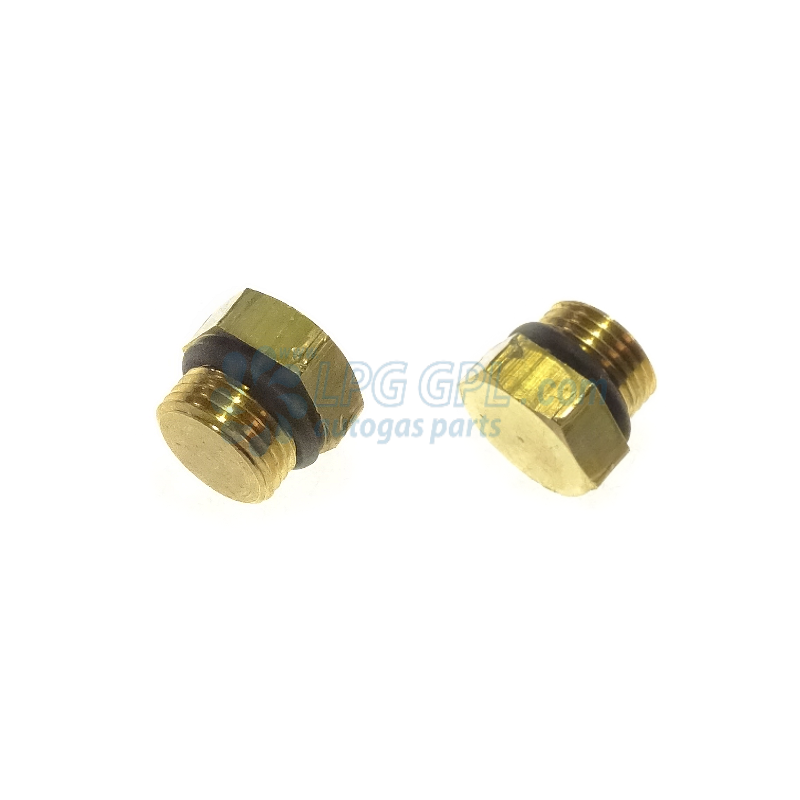 Male M12 Blank With O Ring – lpggpl.com